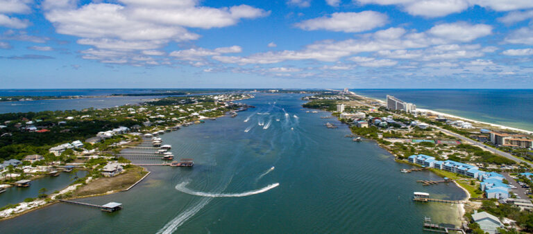 Florida Ecosystems & Conservation Tips for Vacationers | Florida CFY ...