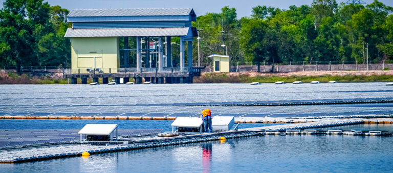 Florida Ecosystems & Conservation Tips for Vacationers | Florida CFY ...